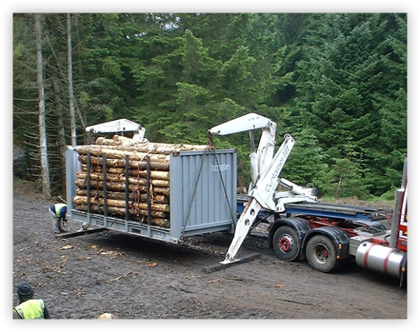 Shipping Container Chassis | Types, Dimensions and Uses